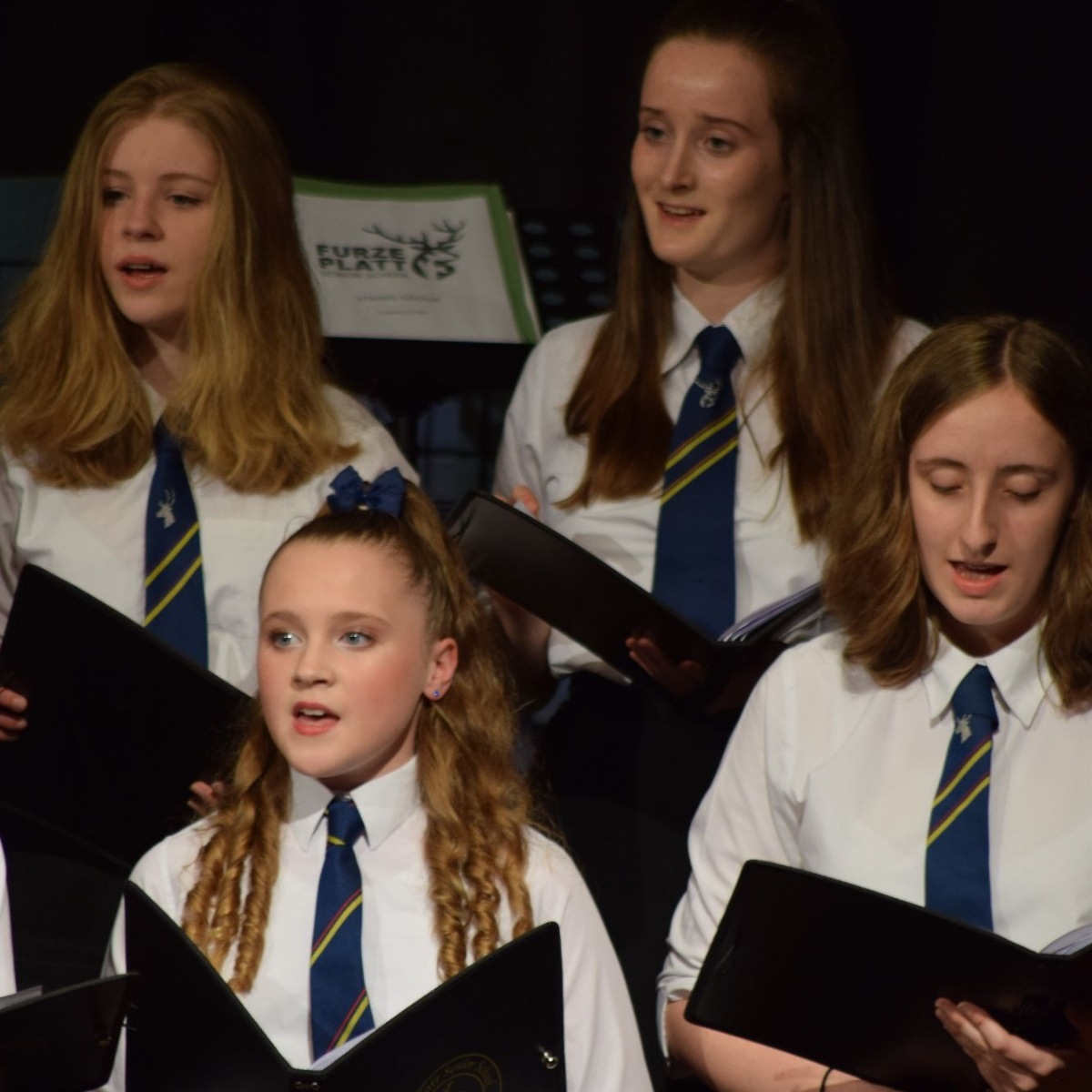 Furze Platt Senior School - Spring Concert