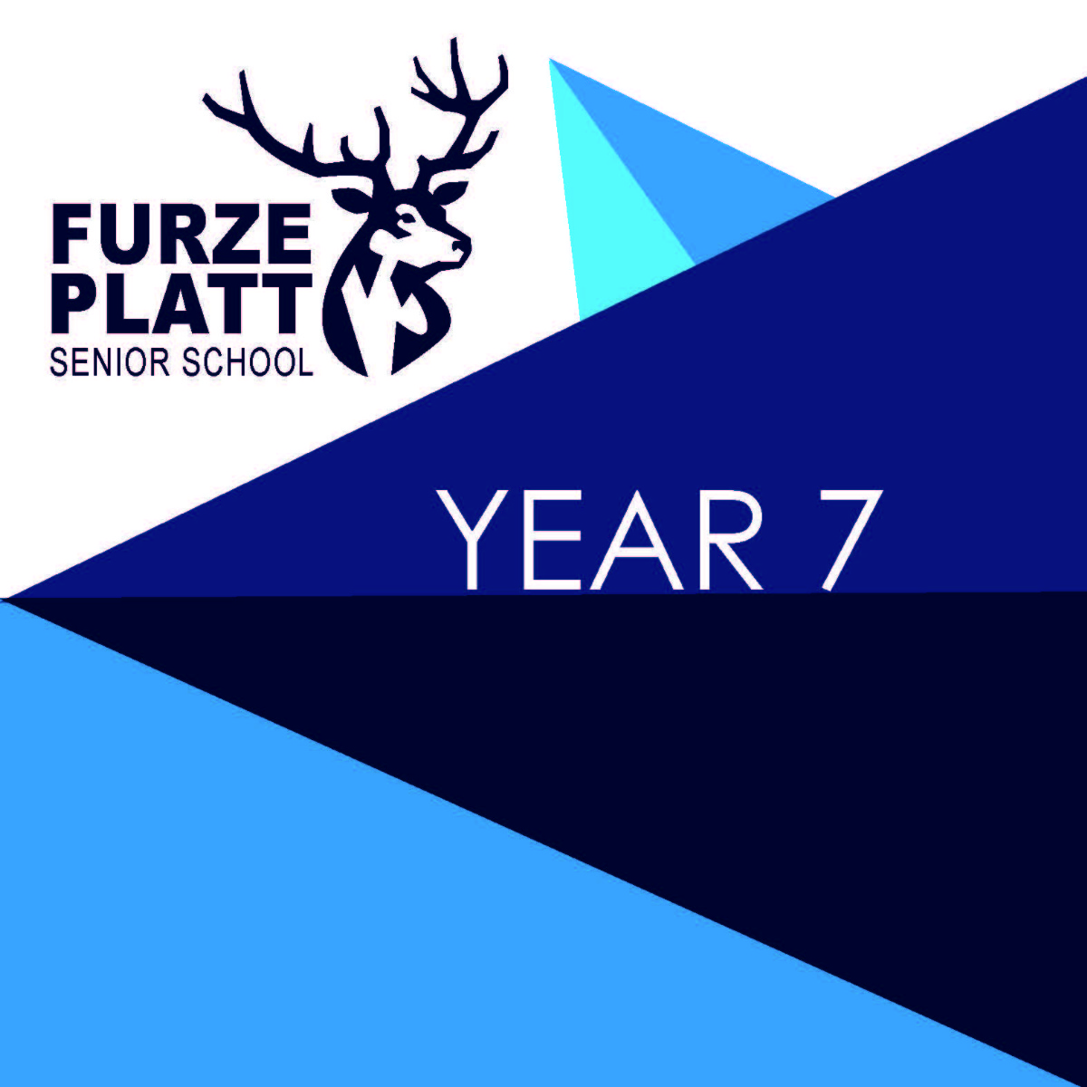 Furze Platt Senior School - Item Not Available