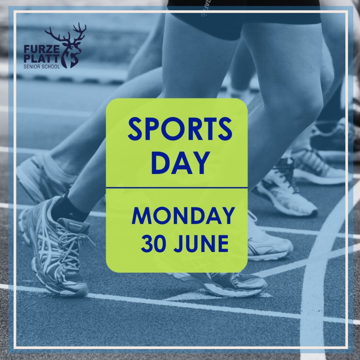 Furze Platt Senior School - Item Not Available